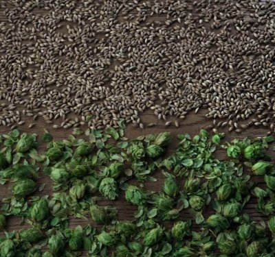 Grolsch. Our story - Grolsch Brewery